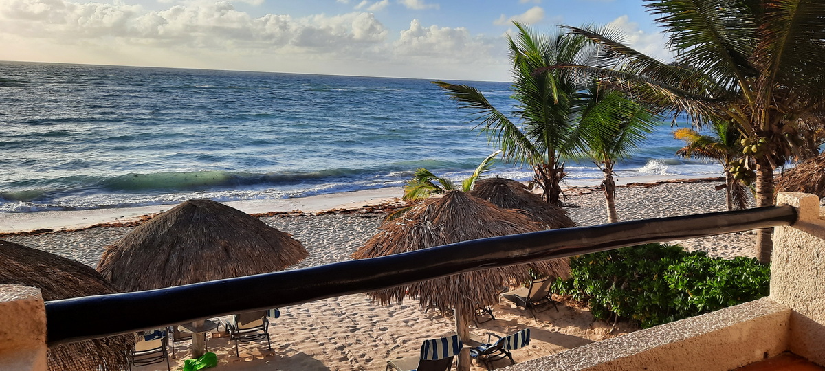 Exploring Akumal with Nemo James :Nemo James