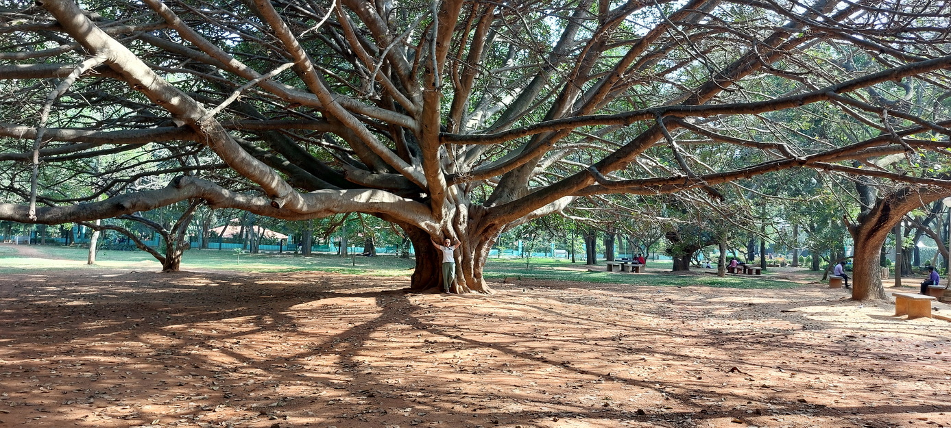 Exploring Bangalore with Nemo James :Nemo James