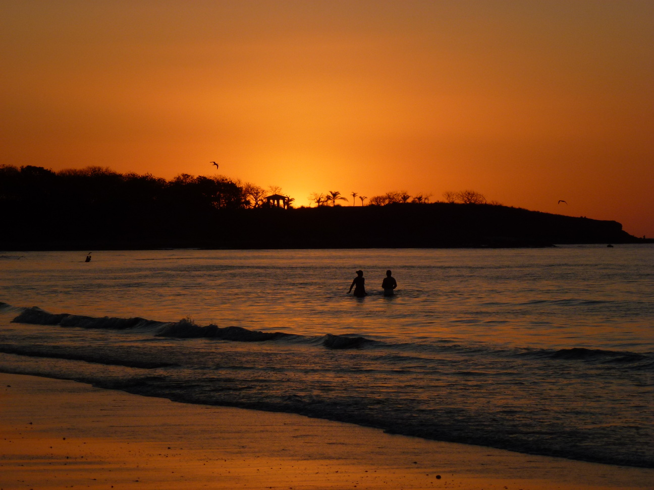 Exploring Tamarindo with Nemo James :Nemo James